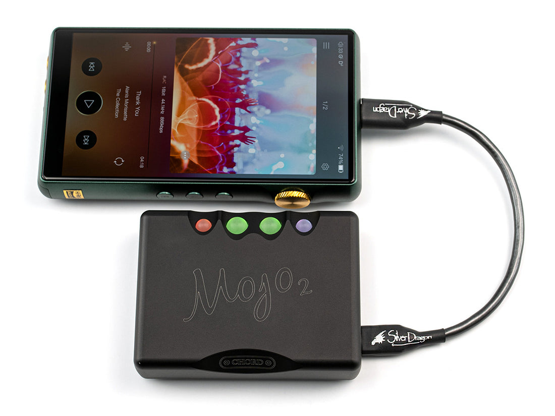 Silver Dragon USB Cable | Moon Audio